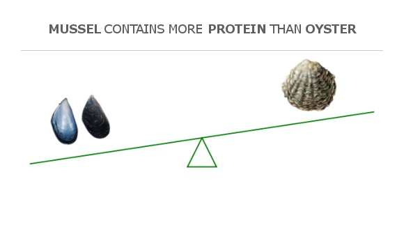 Compare Protein in Mussels to Protein in Oysters