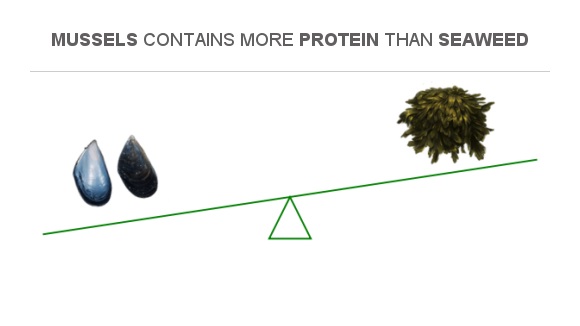 Compare Protein in Mussels to Protein in Seaweed