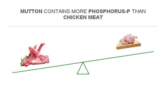 Compare Phosphorus in Mutton to Phosphorus in Chicken meat