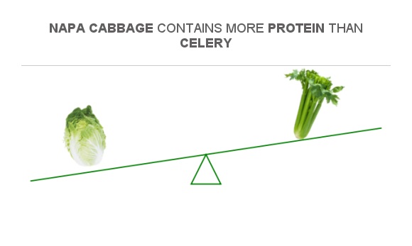 Compare Protein in Napa cabbage to Protein in Celery
