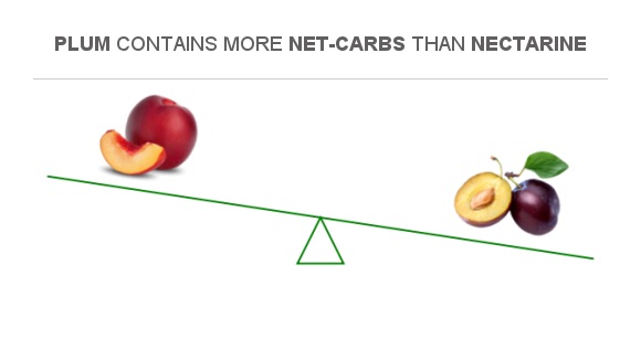 Compare Net carbs in Nectarine to Net carbs in Plum