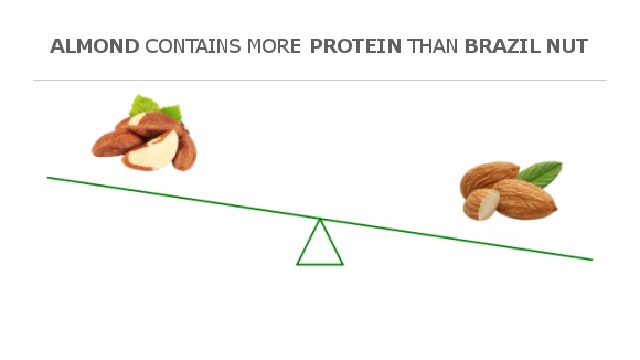 Compare Protein in Brazil nut to Protein in Almond