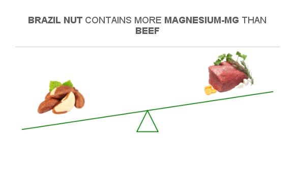 Compare Magnesium in Brazil nut to Magnesium in Beef