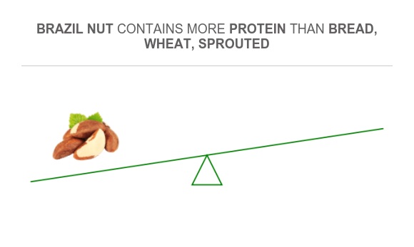 Compare Protein in Brazil nut to Protein in Bread, wheat, sprouted