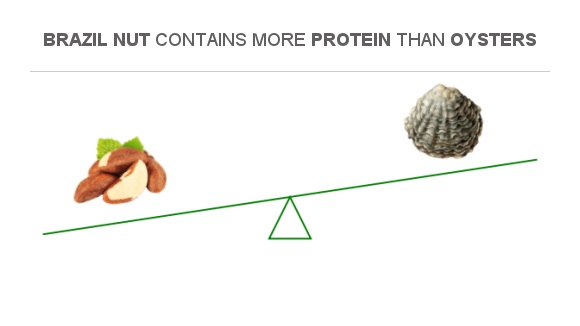 Compare Protein in Brazil nut to Protein in Oysters