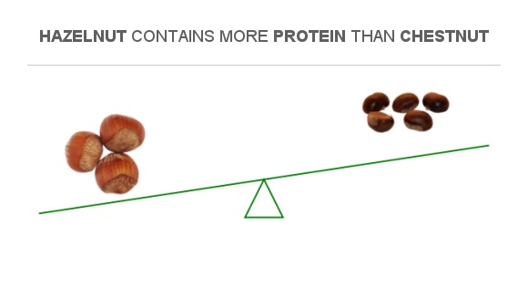 Compare Protein in Hazelnut to Protein in Chestnut