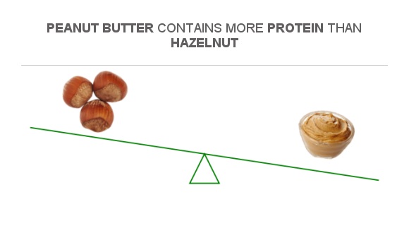 Compare Protein in Hazelnut to Protein in Peanut butter