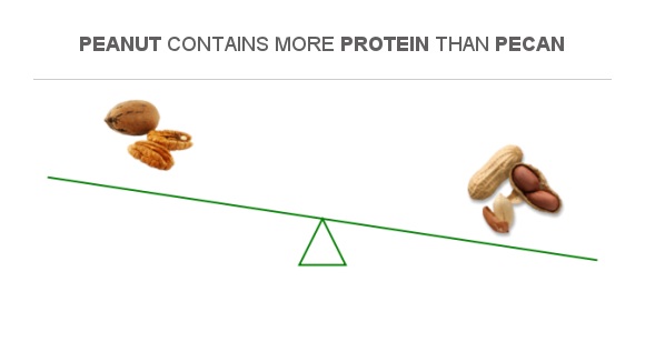 Compare Protein in Pecan to Protein in Peanut