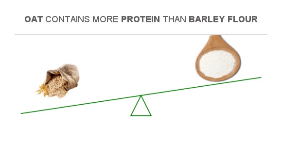 Compare Protein in Oats to Protein in Barley flour