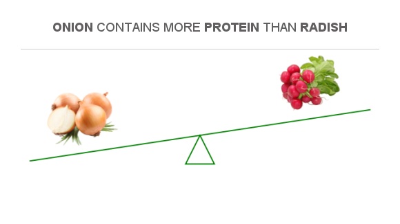 Compare Protein in Onion to Protein in Radish