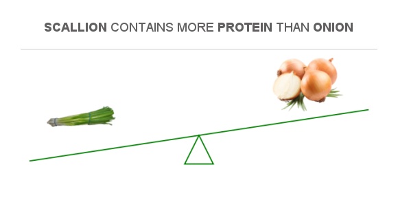 Compare Protein in Scallion to Protein in Onion