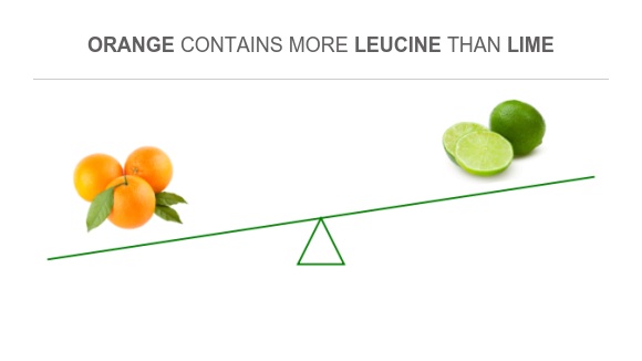 Compare Leucine in Orange to Leucine in Lime
