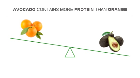 Compare Protein in Orange to Protein in Avocado