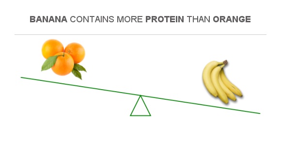 Compare Protein in Orange to Protein in Banana