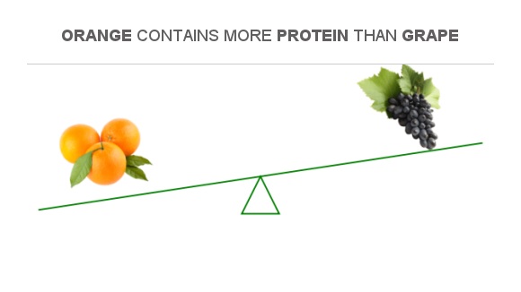 Compare Protein in Orange to Protein in Grape