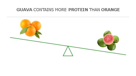 Compare Protein in Orange to Protein in Guava