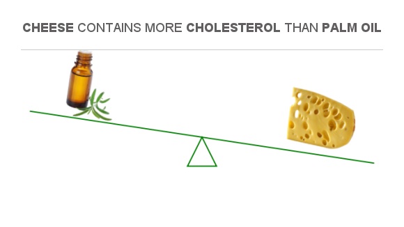 Compare Cholesterol in Palm oil to Cholesterol in Cheese