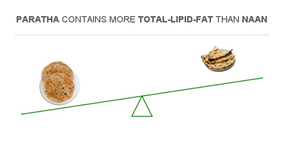 Compare Fats in Paratha to Fats in Naan