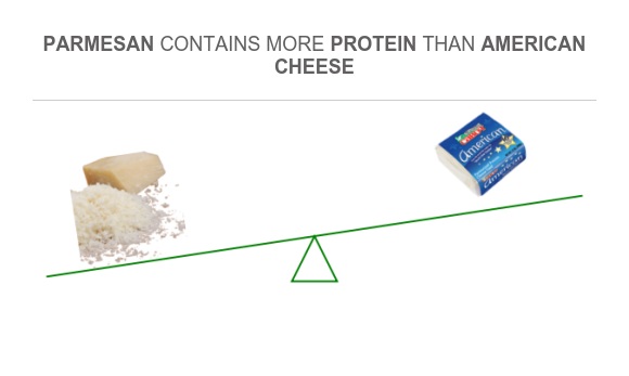 Compare Protein in Parmesan to Protein in American cheese