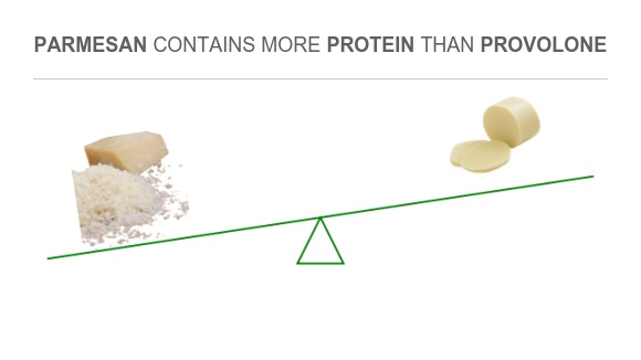Compare Protein in Parmesan to Protein in Provolone