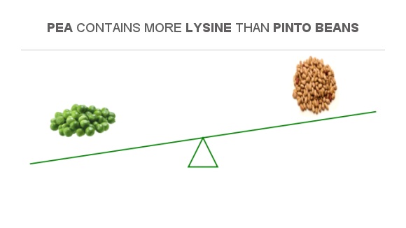 Compare Lysine in Pea to Lysine in Pinto beans Compare Lysine in Pea to Lysine in Pinto beans