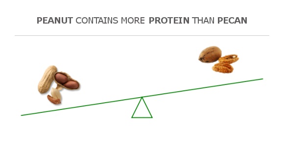 Compare Protein in Peanut to Protein in Pecan