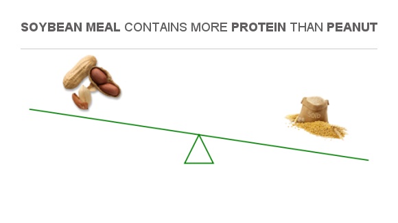 Compare Protein in Peanut to Protein in Soybean meal