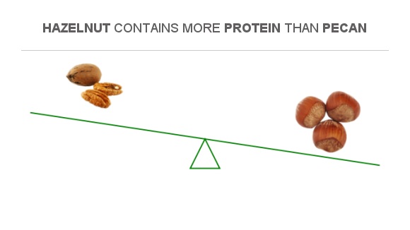 Compare Protein in Pecan to Protein in Hazelnut