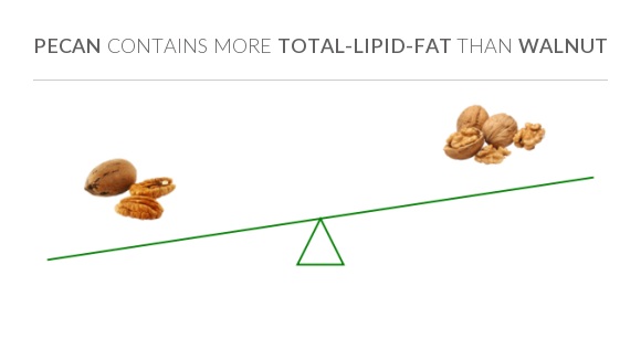 Compare Fats in Pecan to Fats in Walnut