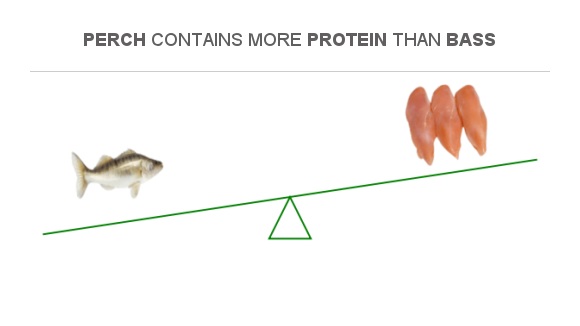 Compare Protein in Perch to Protein in Sea bass