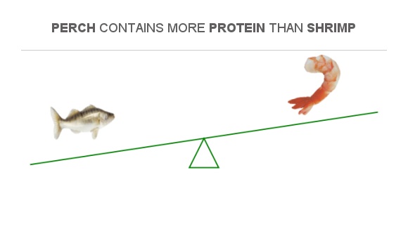 Compare Protein in Perch to Protein in Shrimp