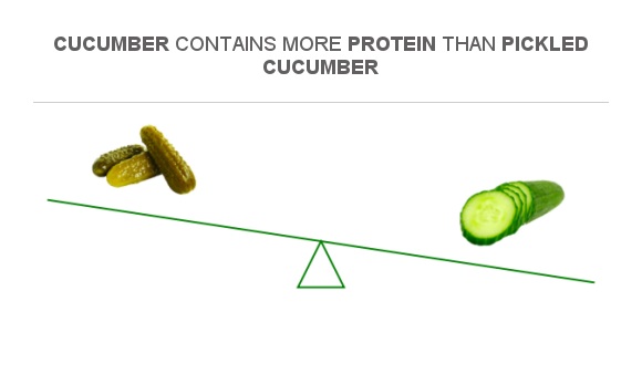 Compare Protein in Pickled cucumber to Protein in Cucumber