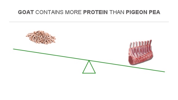 Compare Protein in Pigeon pea to Protein in Goat