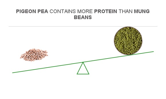 Compare Protein in Pigeon pea to Protein in Mung beans