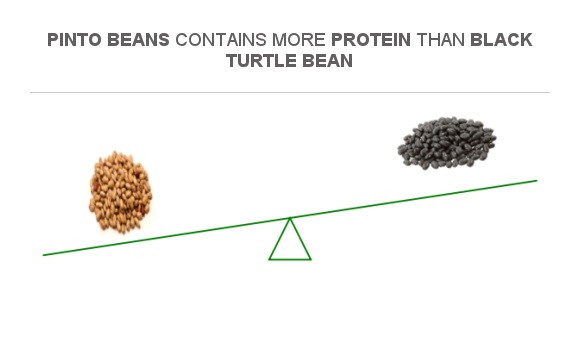 Compare Protein in Pinto beans to Protein in Black turtle bean Compare Protein in Pinto beans to Protein in Black turtle bean