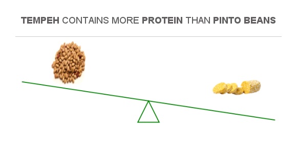Compare Protein in Pinto beans to Protein in Tempeh