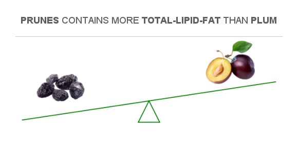 Compare Fats in Prunes to Fats in Plum