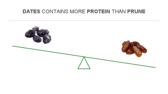 Compare Protein in Prunes to Protein in Dates