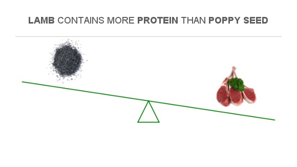 Compare Protein in Poppy seed to Protein in Lamb