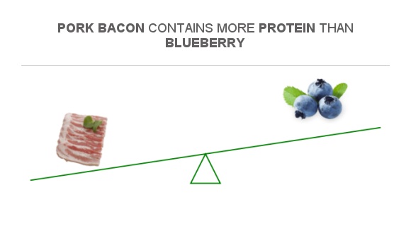 Compare Protein in Pork bacon to Protein in Blueberry