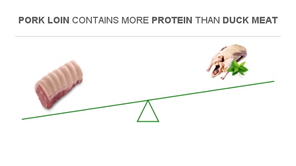 Compare Protein in Pork loin to Protein in Duck meat
