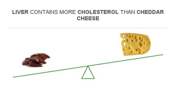 Compare Cholesterol in Liver to Cholesterol in Cheese