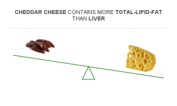 Compare Fats in Liver to Fats in Cheese