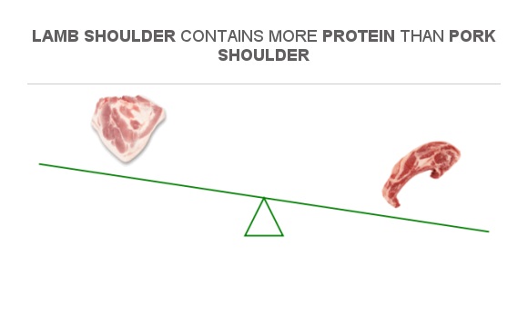 Compare Protein in Pork shoulder to Protein in Lamb shoulder
