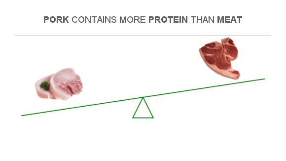 Compare Protein in Pork to Protein in Pork Meat