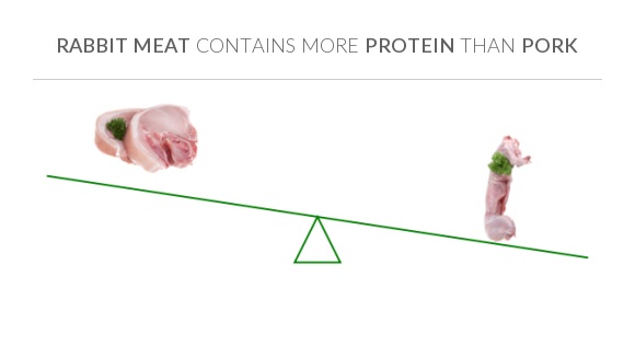 Compare Protein in Pork to Protein in Rabbit Meat