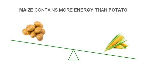 Compare Calories in Potato to Calories in Corn