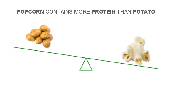 Compare Protein in Potato to Protein in Popcorn