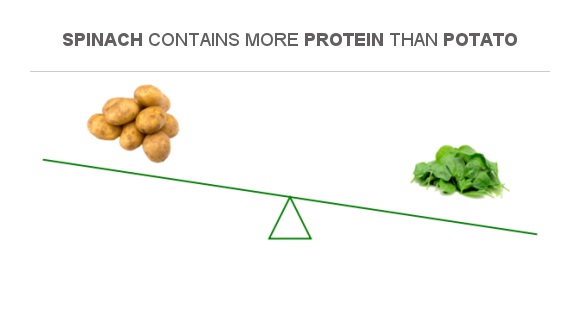 Compare Protein in Potato to Protein in Spinach