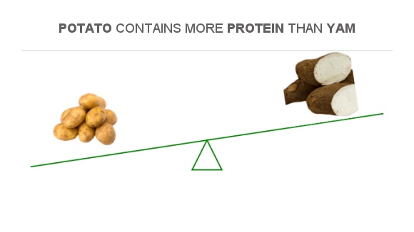 Compare Protein in Potato to Protein in Yam